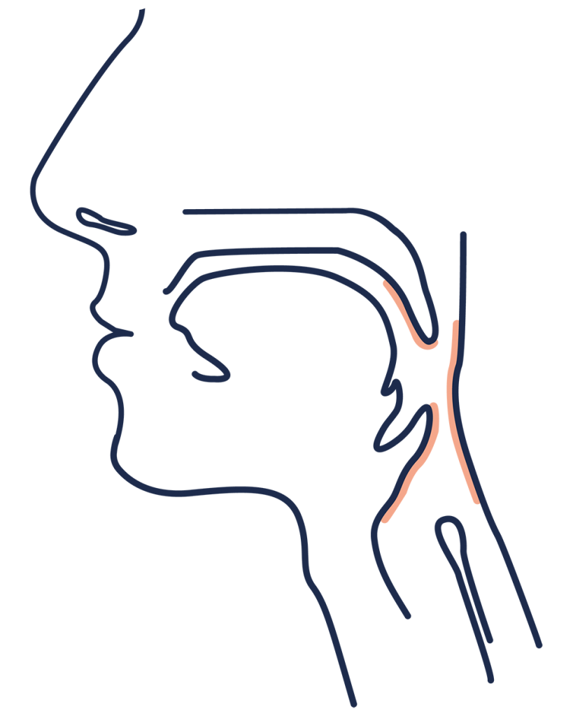Our throat care range - YSLAB