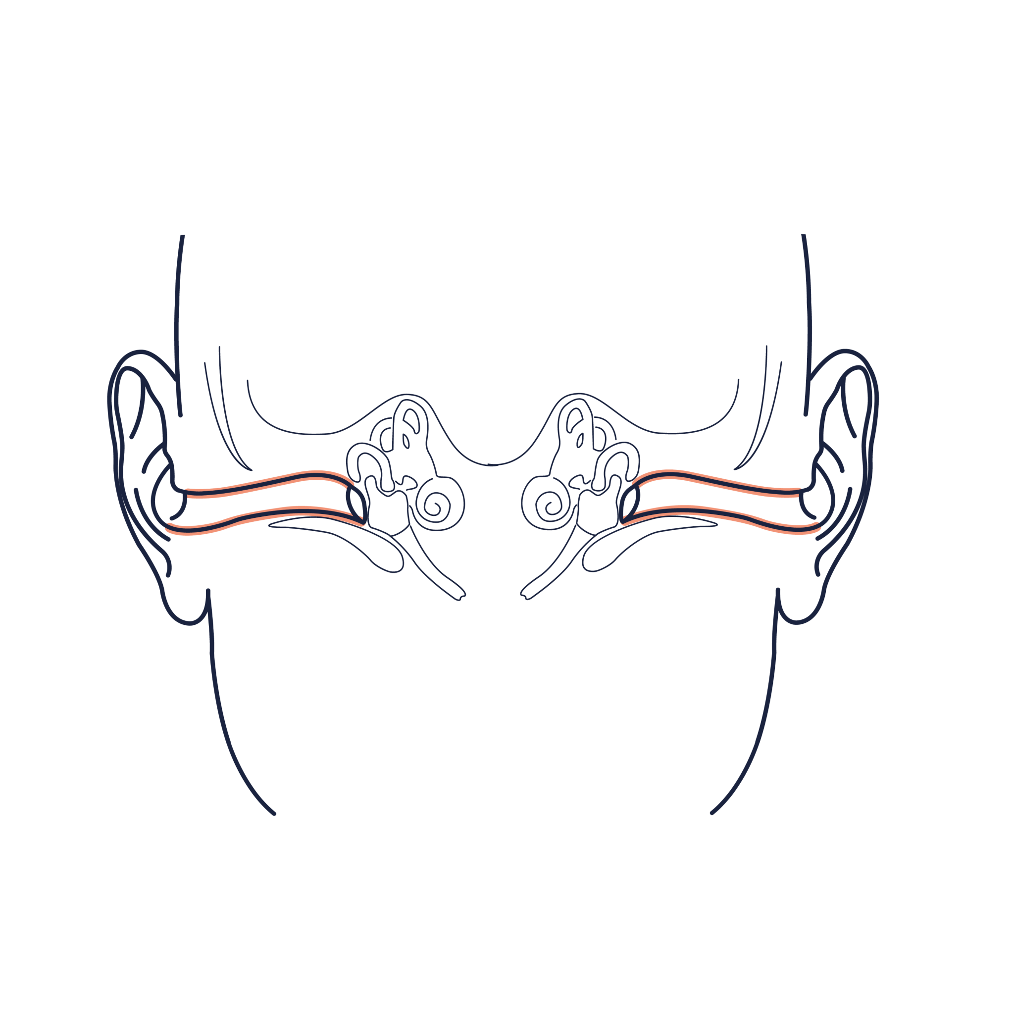 Our ear care range - YSLAB